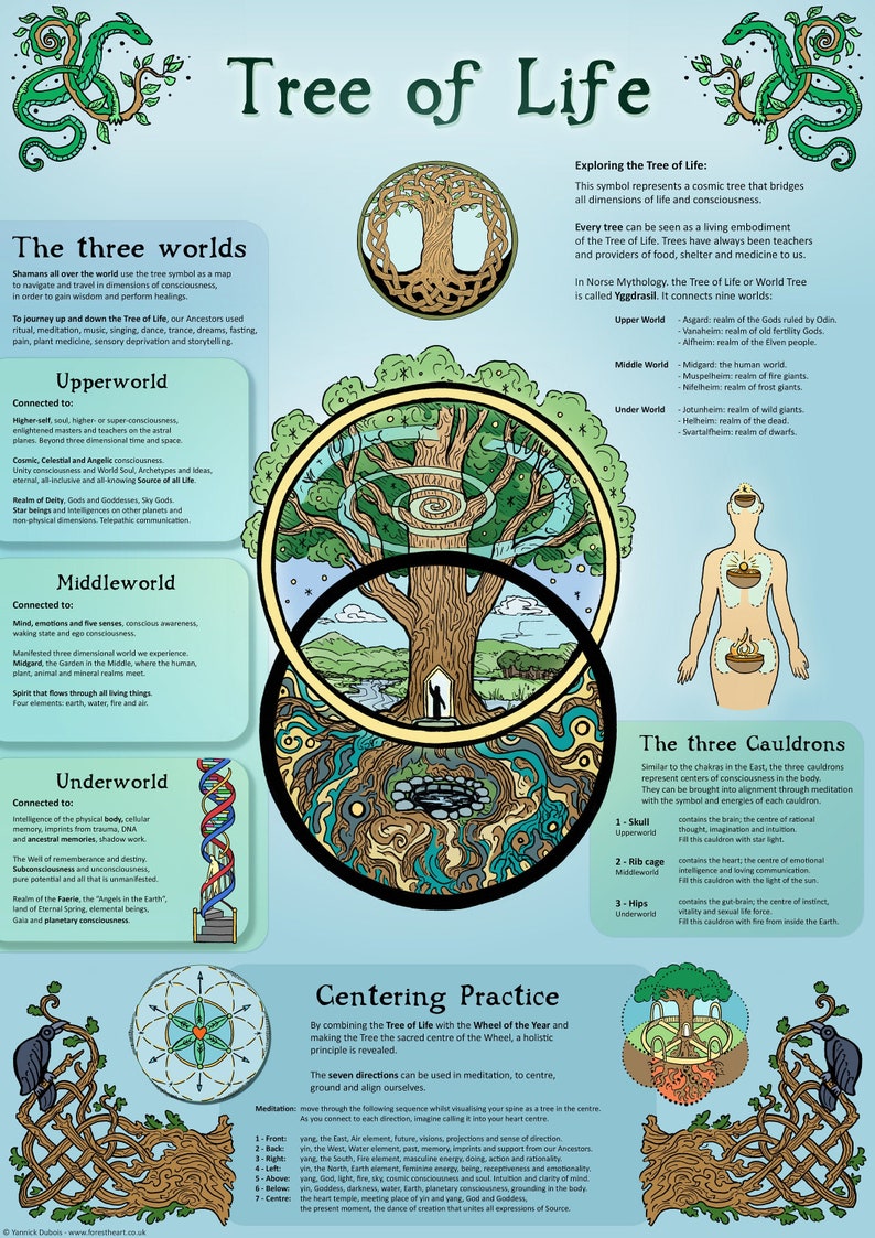 Tree of Life Infographic A3 Poster | Etsy