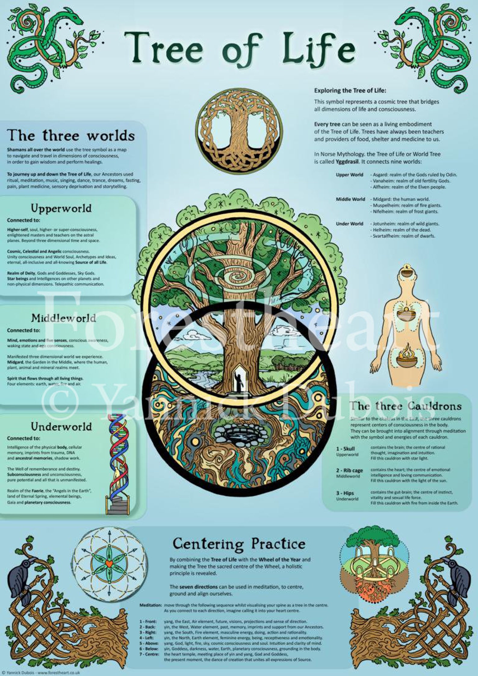 Tree of Life, Infographic, Correspondence Chart, Celtic, Pagan, Druid ...