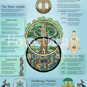 Tree of Life, Infographic, Correspondence Chart, Celtic, Pagan, Druid ...