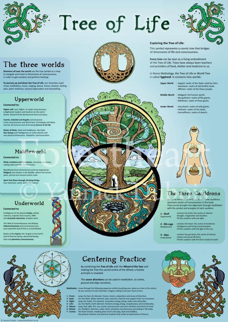 Tree of Life, Infographic, Correspondence Chart, Celtic, Pagan, Druid ...