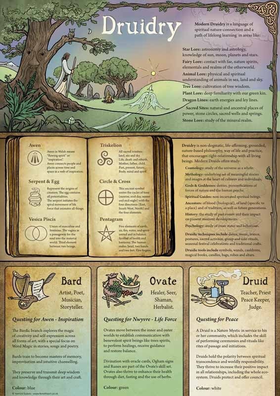 Druidry Poster, Ecofriendly A3 Print, Wall Art Poster, Infographic ...