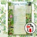 Digital Foraging Calendar, Infographic Poster, Herbalism, Wild Food ...
