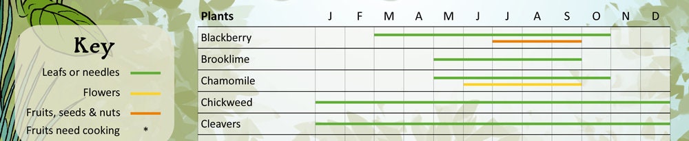 Foraging Calendar Ecofriendly A3 Print Wall Art Poster - Etsy