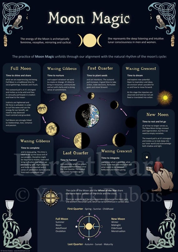 Moon Phases And Their Corresponding Zodiac Signs Infographics