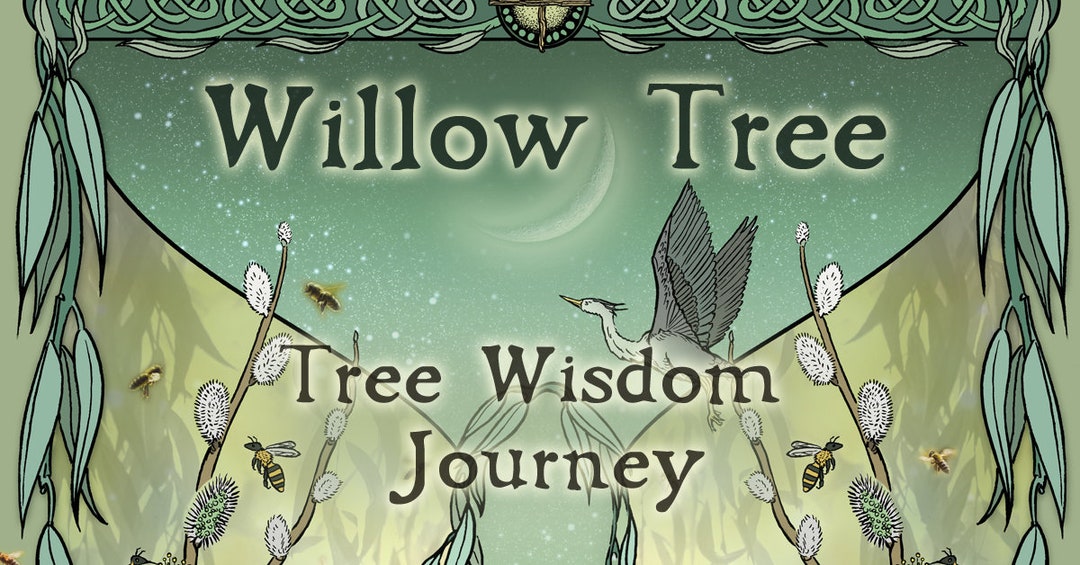 Willow Tree Tree Wisdom Journey Online Workshop, 108 Minute Recording ...