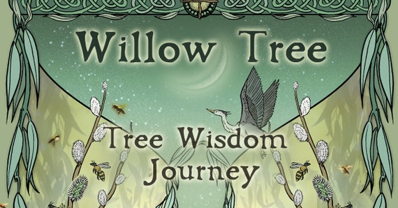 Willow Tree Tree Wisdom Journey Online Workshop 108 Minute - Etsy