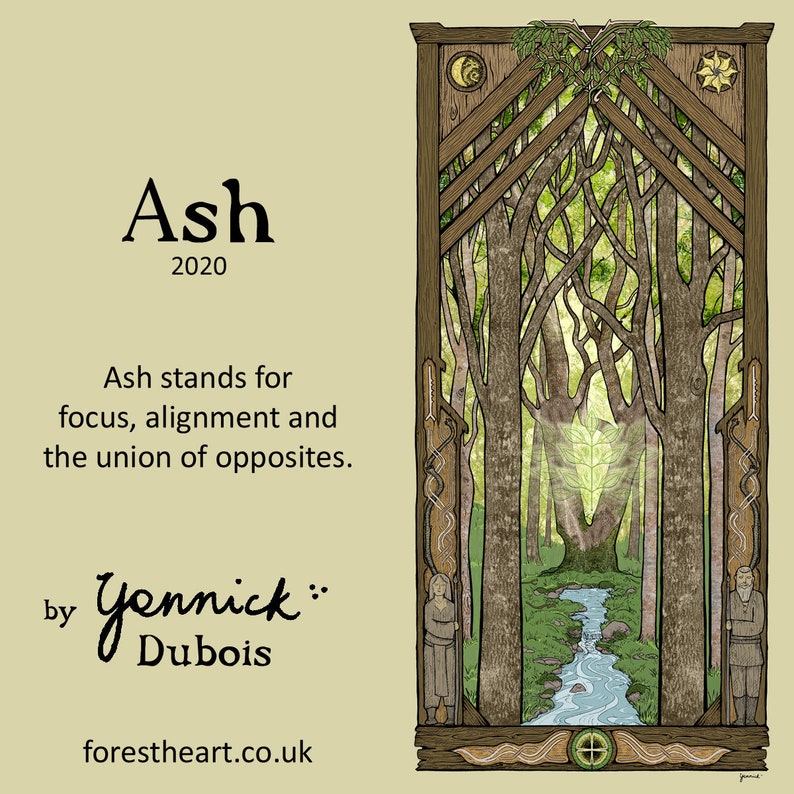 Ash Tree, Tree of Life, Tree Wisdom Banner, 60 X 30 Cm, Eco-friendly ...