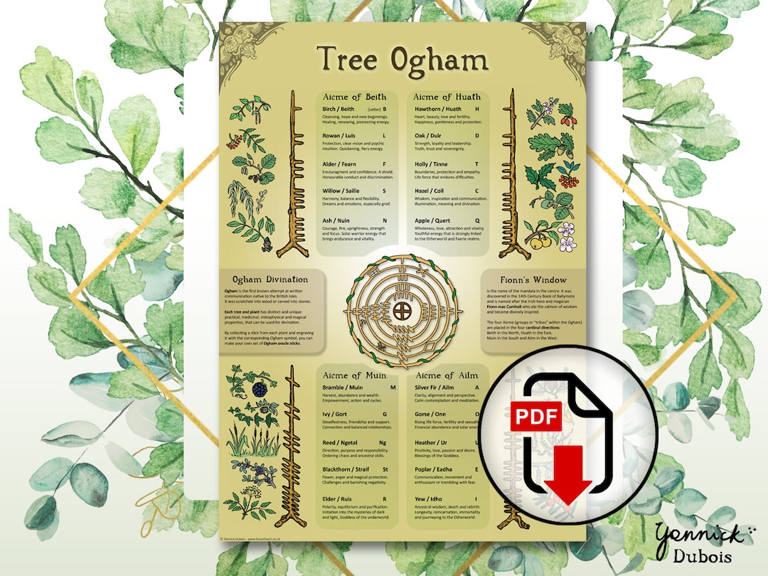 Tree Ogham, Infographic, Correspondence Chart, Celtic, Pagan, Druid ...