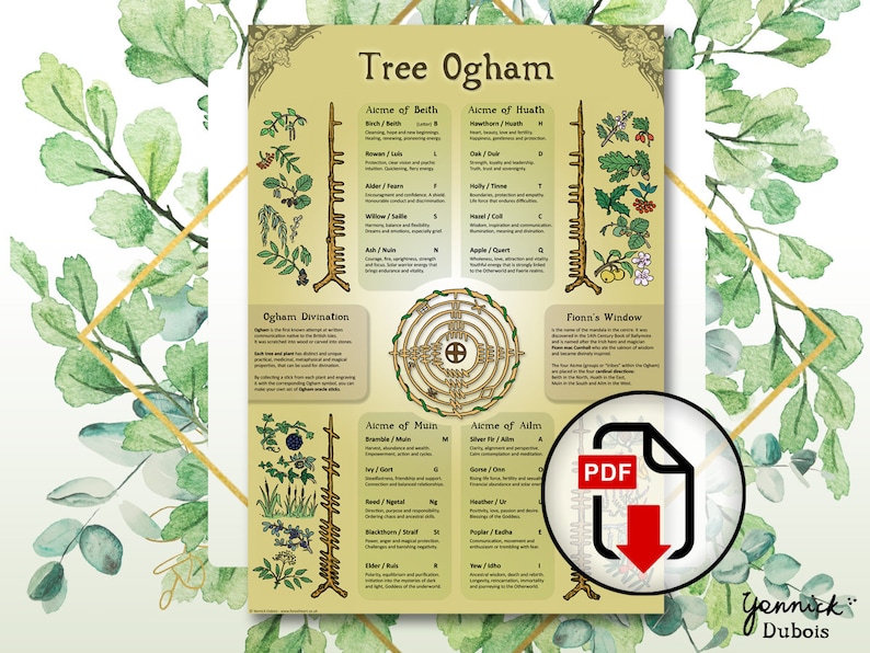 Tree Ogham, Infographic, Correspondence Chart, Celtic, Pagan, Druid ...