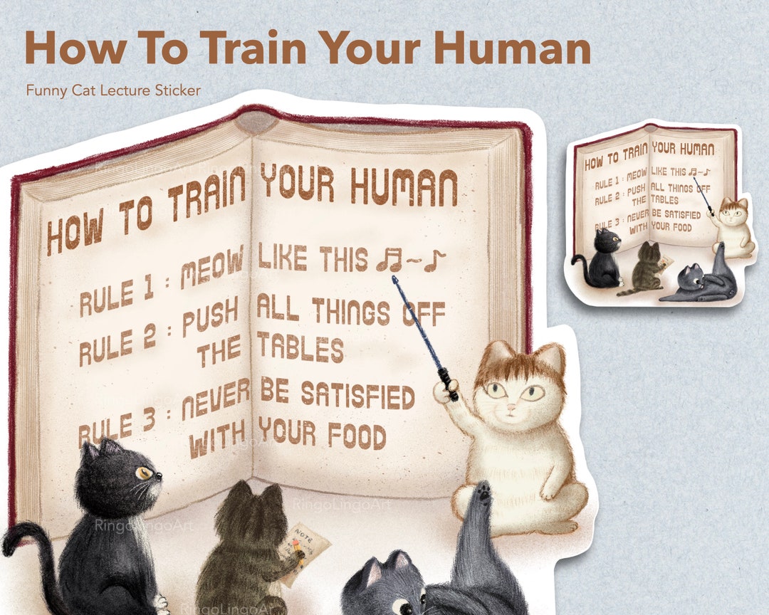 How to Train Your Human Sticker / Cat Lecture Sticker / Funny Cat ...