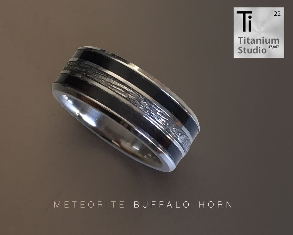 Titanium Ring With Meteorite and Double Black Inlay - Etsy