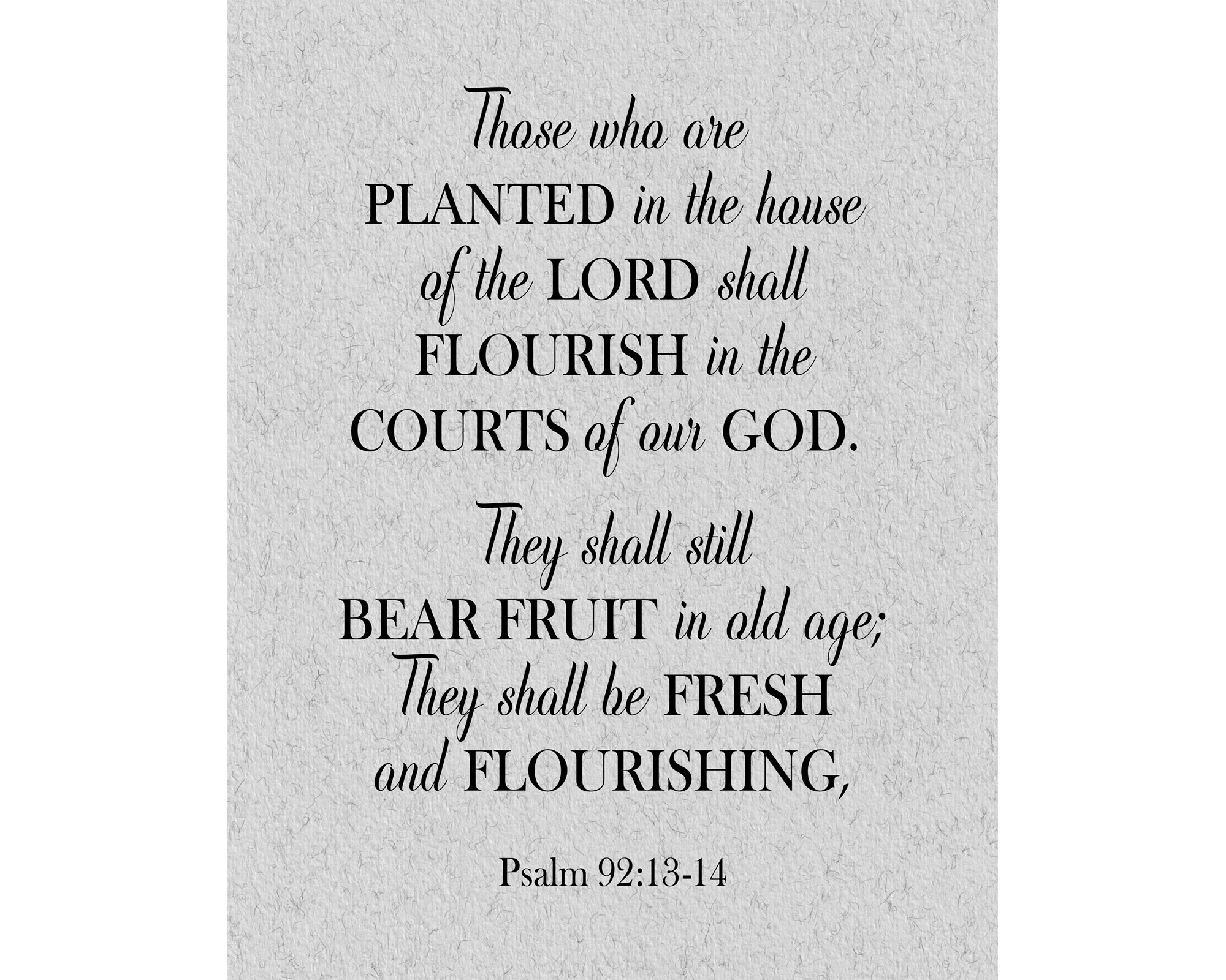 Psalm 92:13-14 Verse Superimposed on a Digital Photograph of Light Gray ...