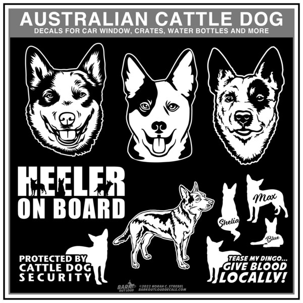 Queensland Heeler - Etsy