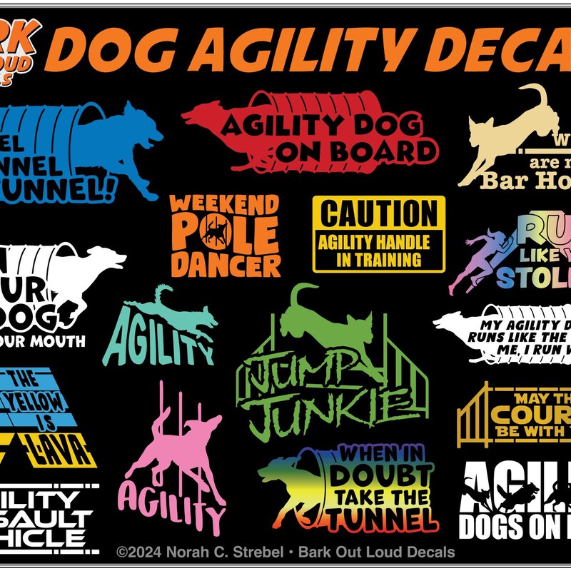 Agility Equipment - Etsy