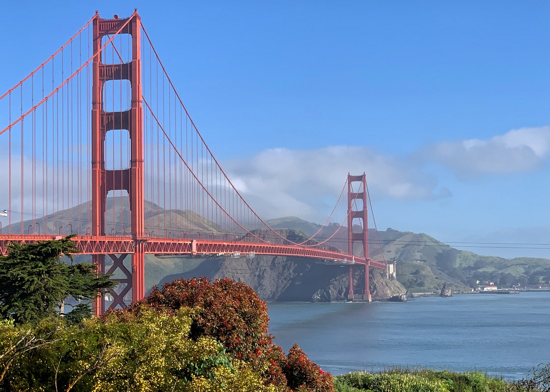 Golden Gate Glory - Etsy