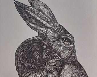 Bunny Rabbit Ink Drawing Art Print - Animal Art - Etsy
