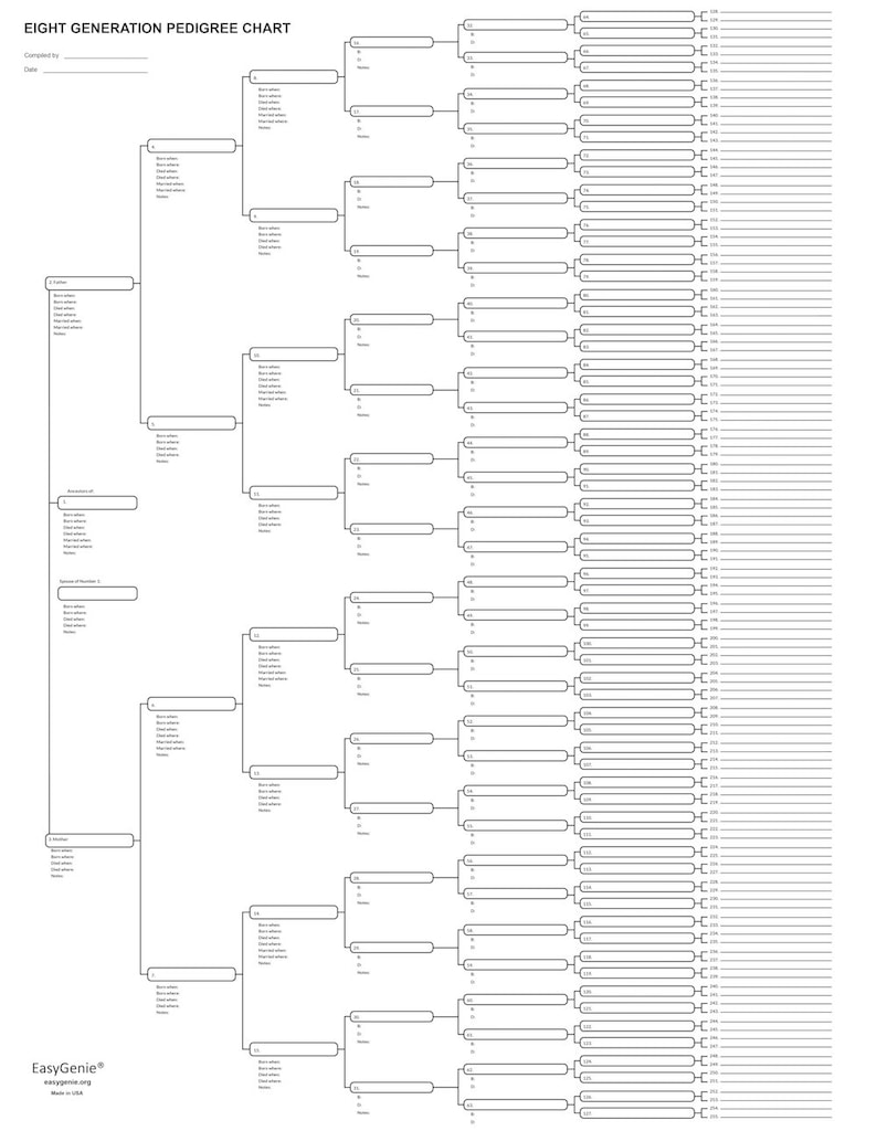 10 Genealogy Charts 8 Generation Pedigree Charts Offset Printed on Acid ...