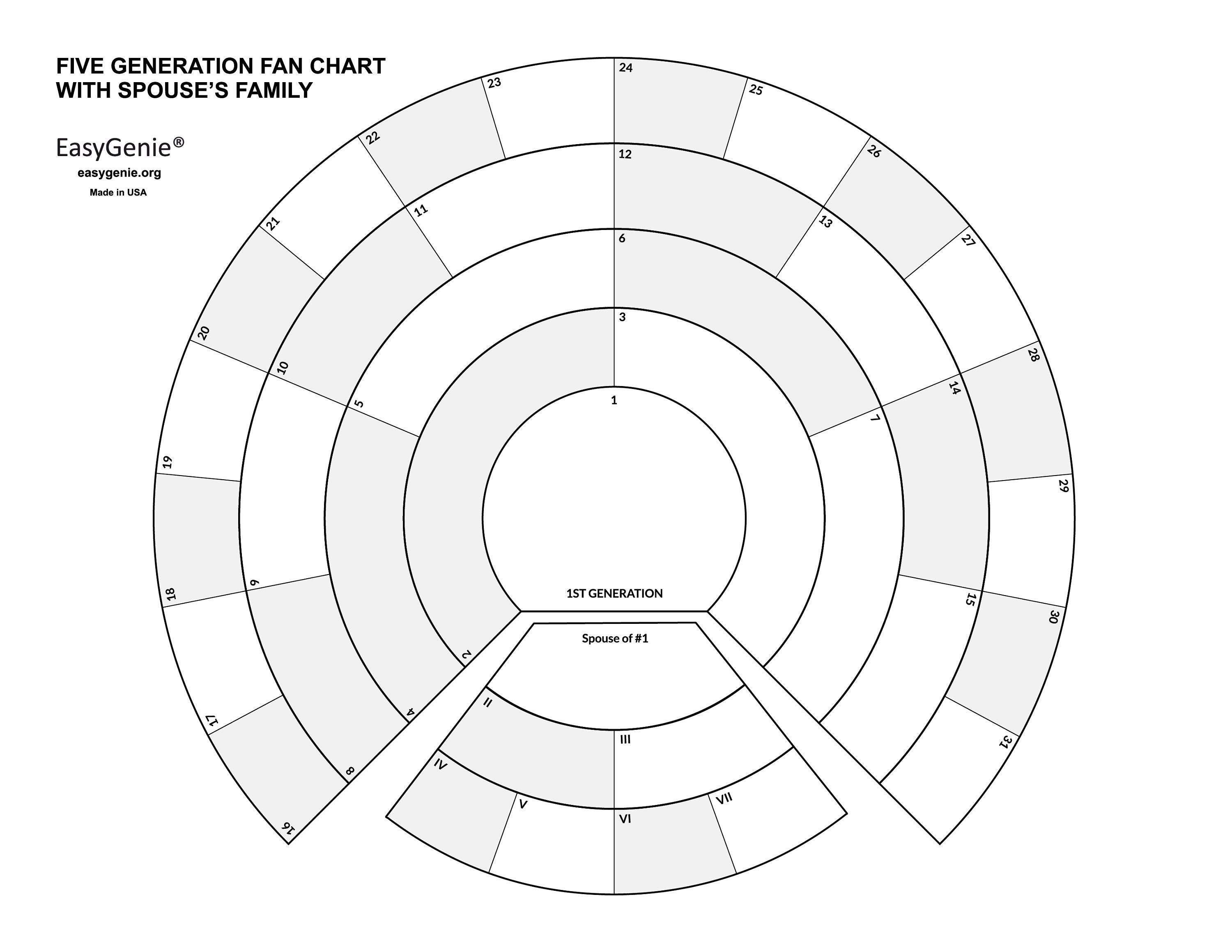 LARGE PRINT Genealogy Charts and Forms Kit Printed on Acid-free Paper ...