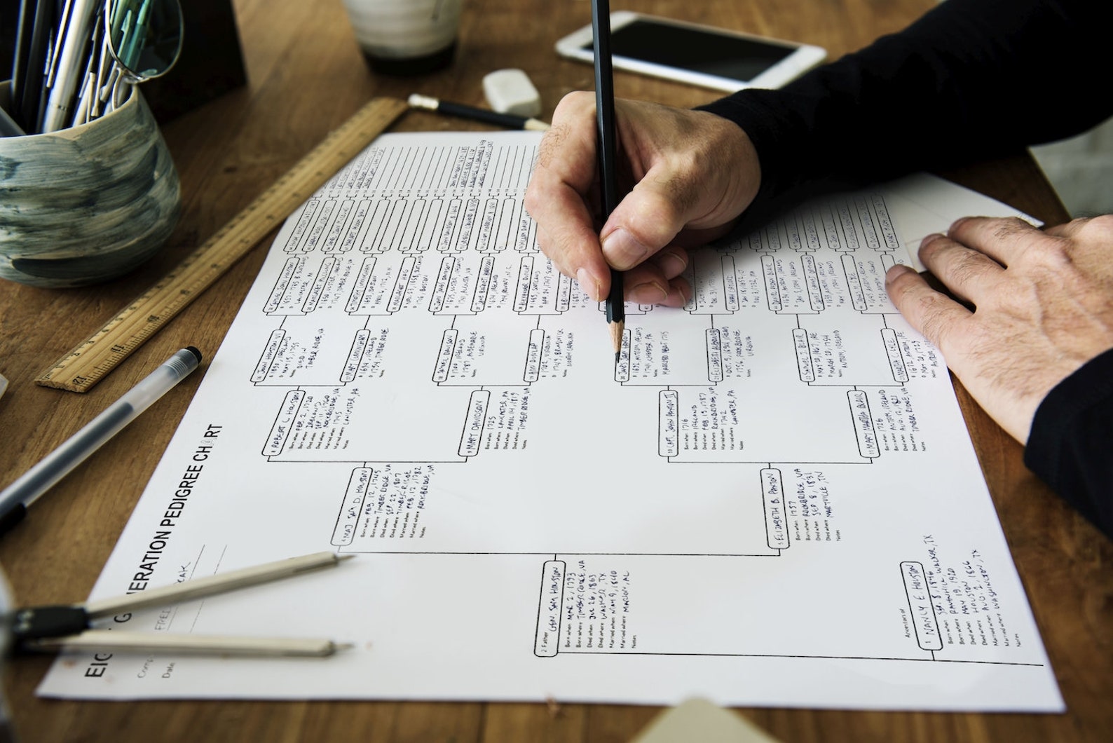 Big Genealogy Charts Sampler Offset Printed on Acid-free Paper (4 ...