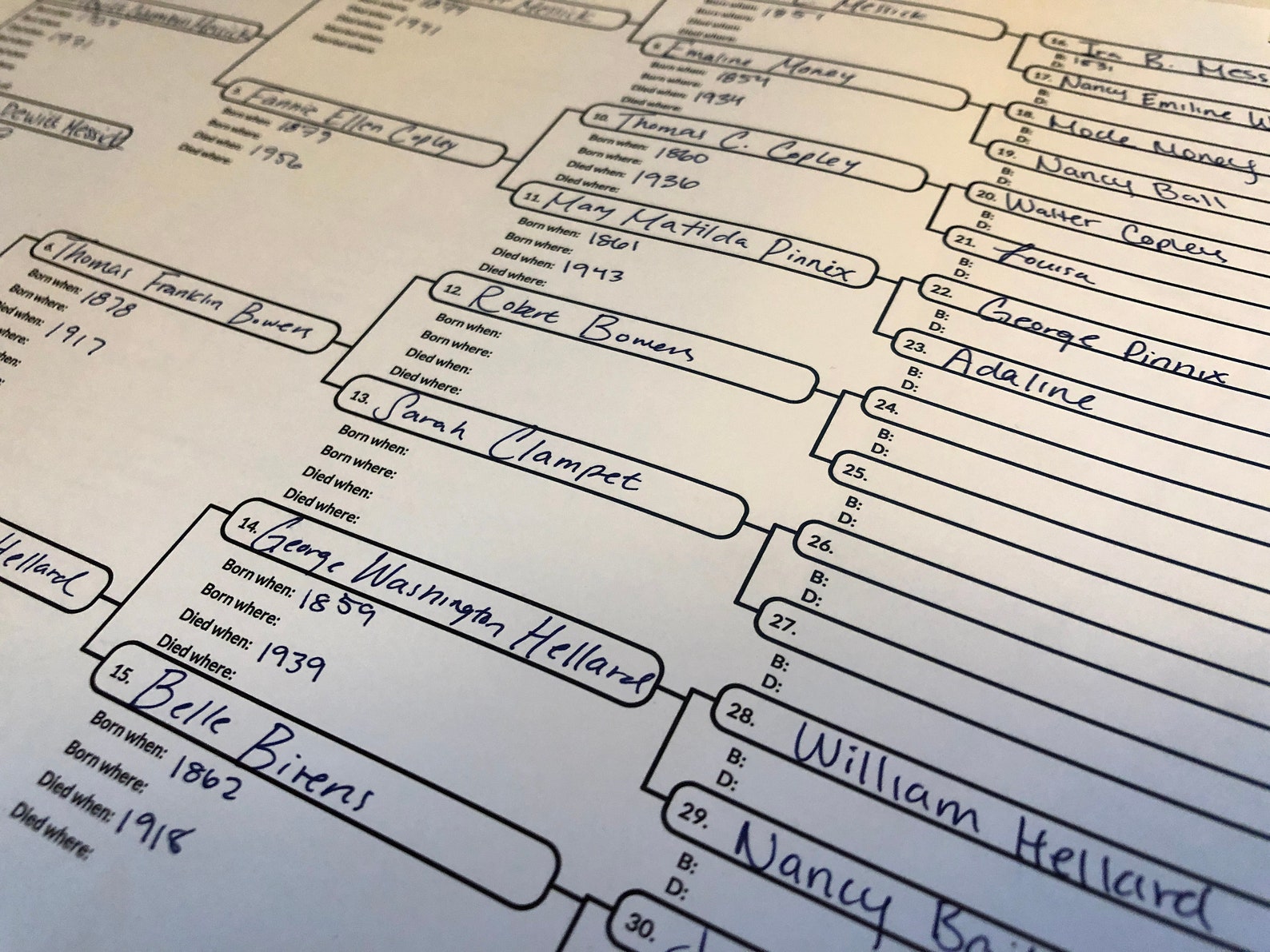 LARGE PRINT Genealogy Charts and Forms Kit Printed on Acid-free Paper ...