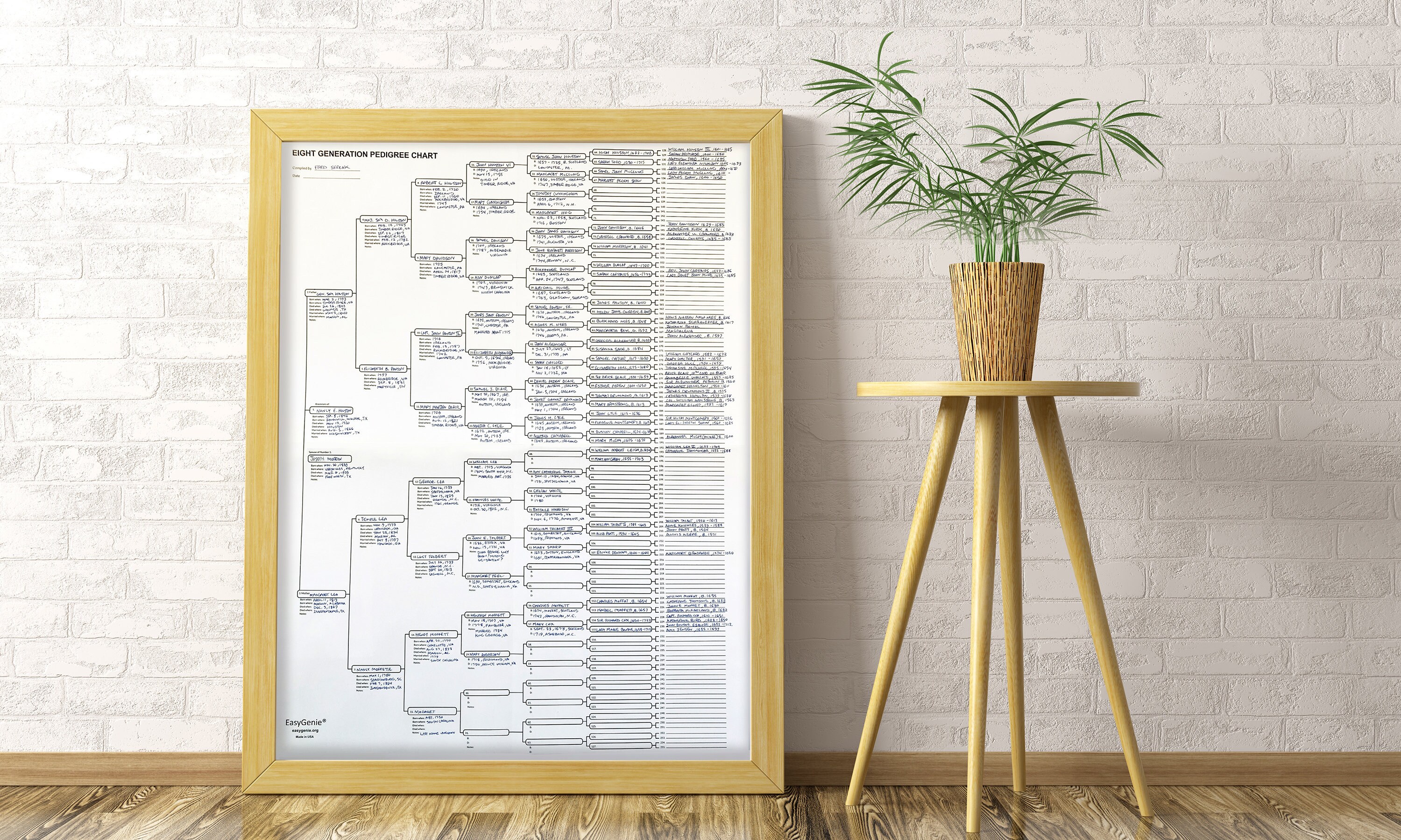 10 Genealogy Charts 8 Generation Pedigree Charts Offset Printed on Acid ...