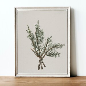 Vintage Sketch Art / Winter Branch Drawing / Nature Print Digital ...