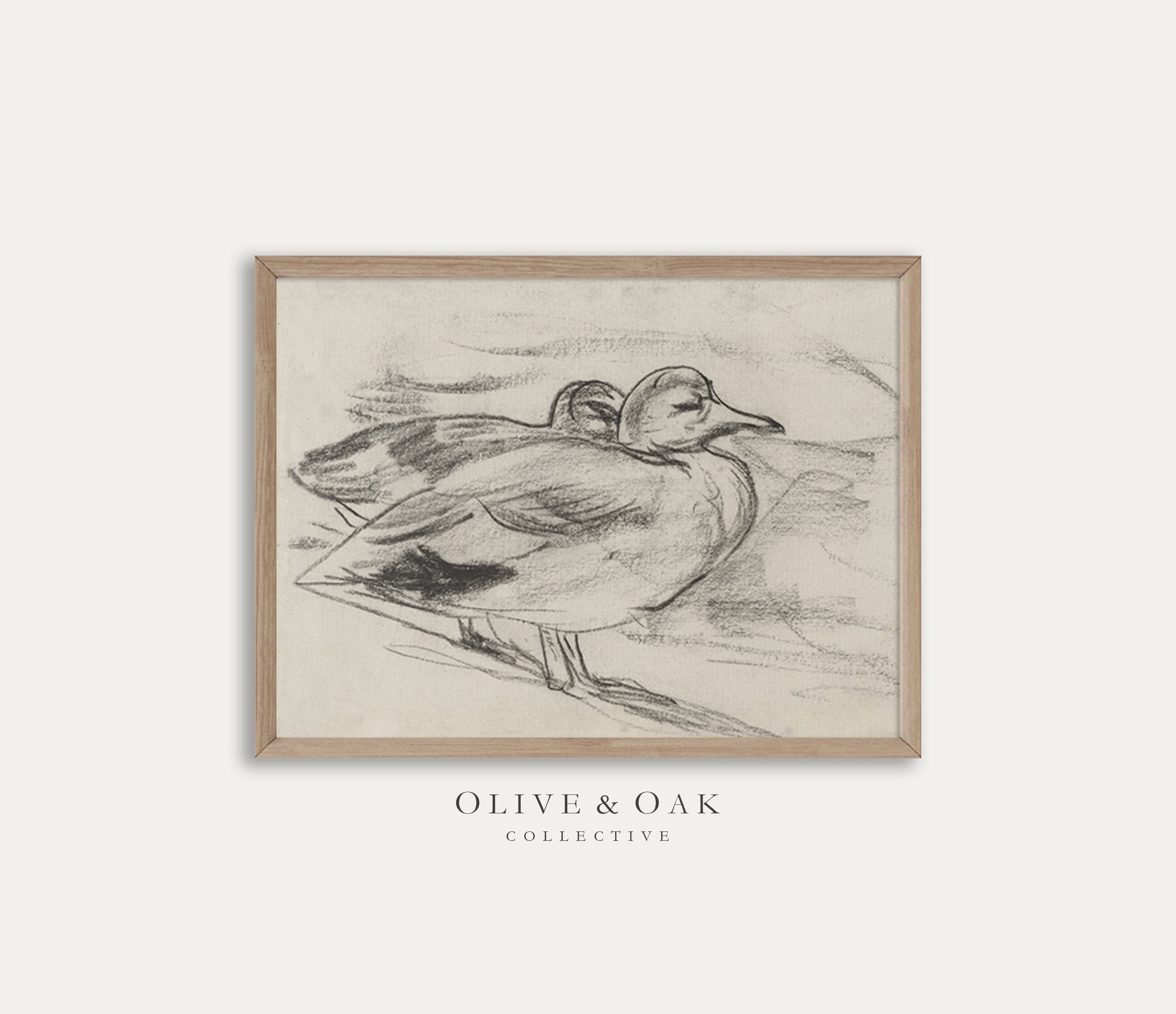 Vintage Duck Sketch PRINTABLE / Bird Drawing Art Print / - Etsy