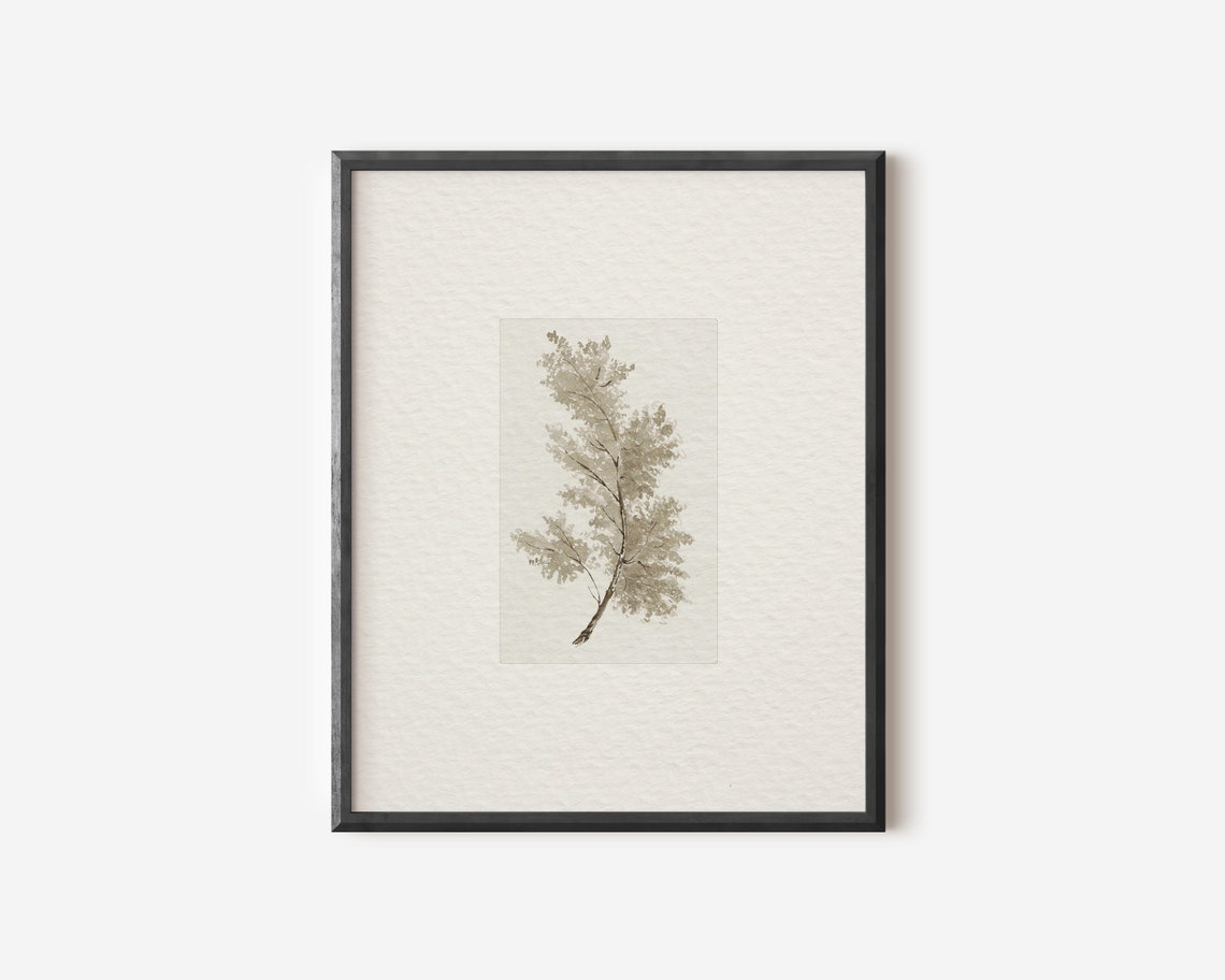 Vintage Tree Branch Drawing Print / Neutral Wall Art / Antique | Etsy