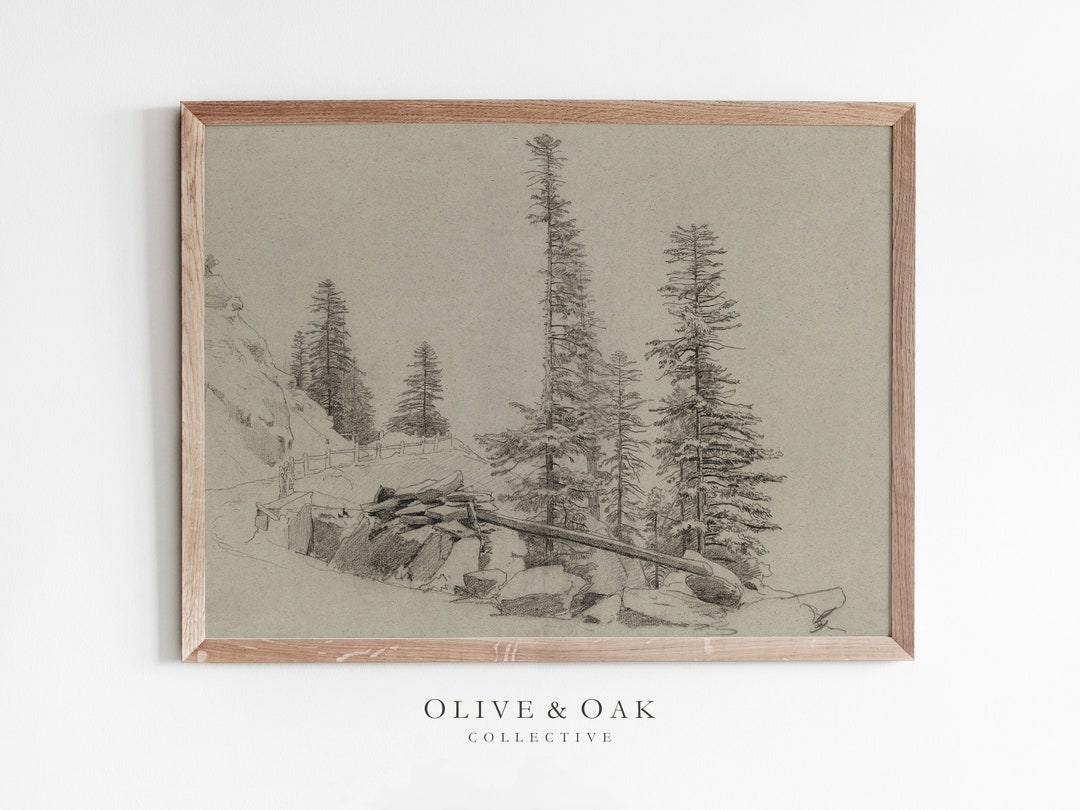 Rustic Landscape Drawing PRINTABLE / Spruce Tree Sketch Print / Neutral ...