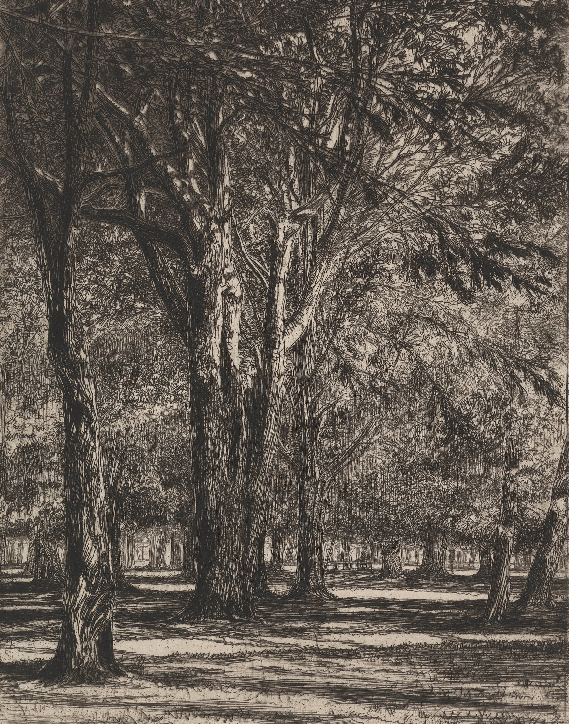 Vintage Forest Drawing / PRINTABLE Rustic Tree Sketch / | Etsy