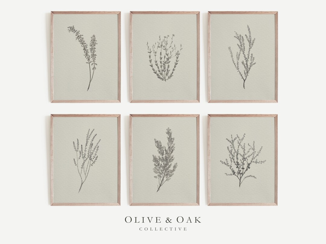 Neutral Botanical Print Set / Set of 6 Vintage Prints / PRINTABLE Wall ...