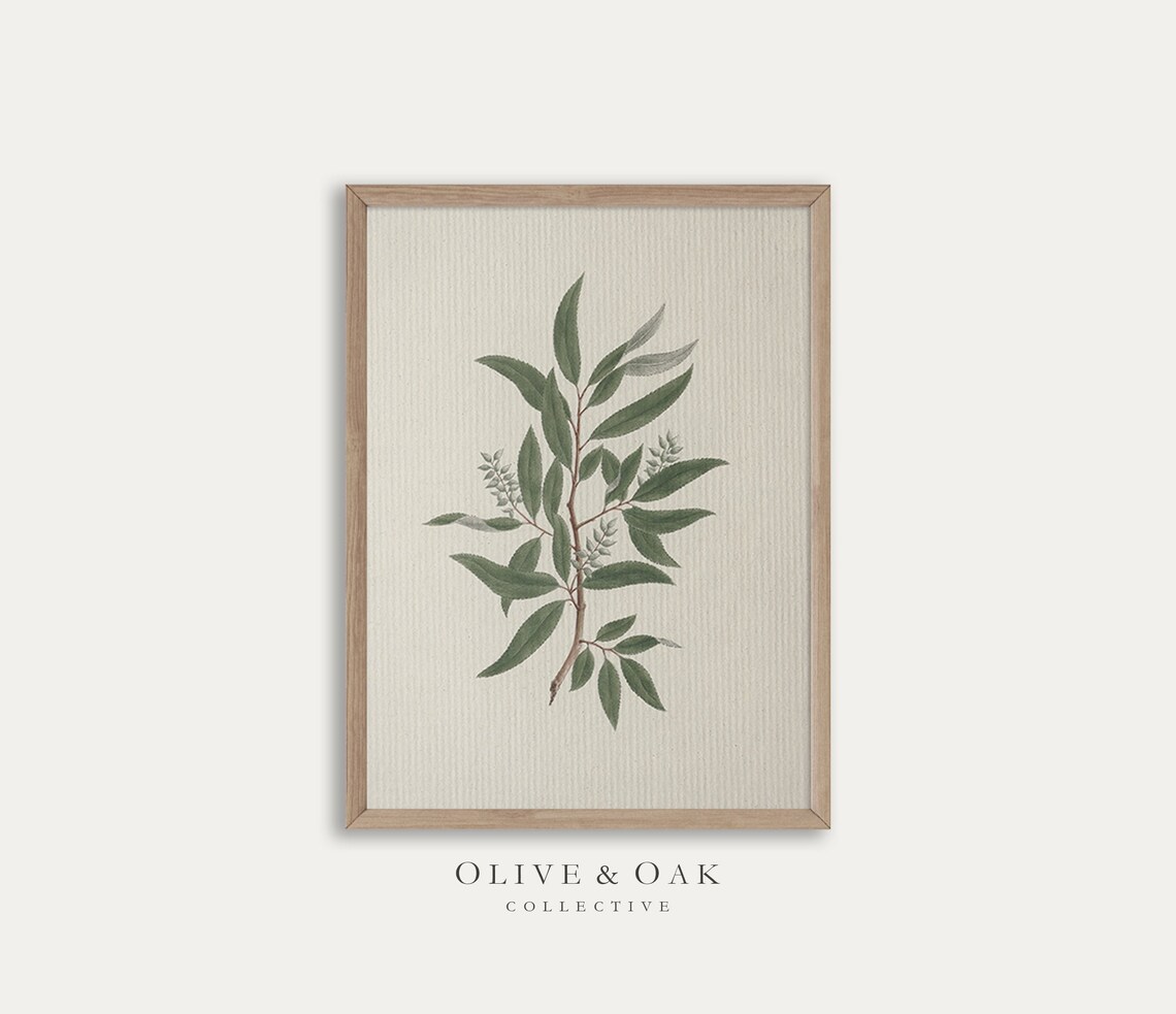 Vintage Botanical Tree Branch Print / Country Farmhouse Decor - Etsy
