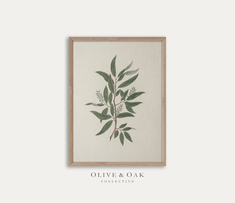 Vintage Botanical Tree Branch Print / Country Farmhouse Decor - Etsy