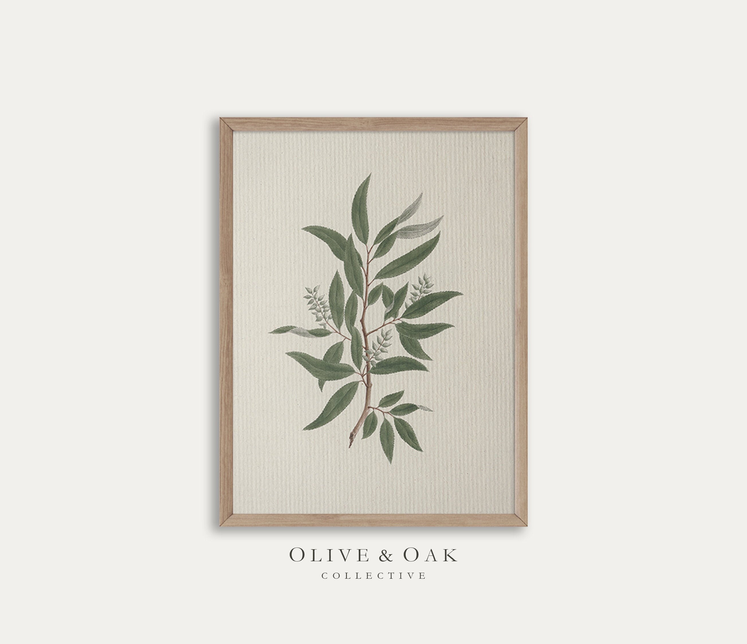 Vintage Botanical Tree Branch Print / Country Farmhouse Decor - Etsy