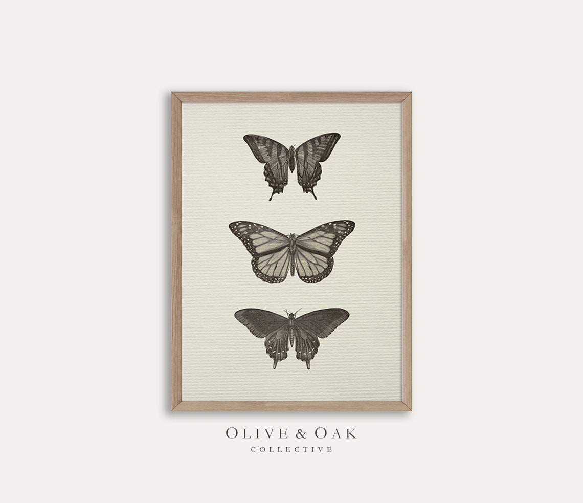 Vintage Neutral Butterfly Print / Antique Butterfly Drawing - Etsy