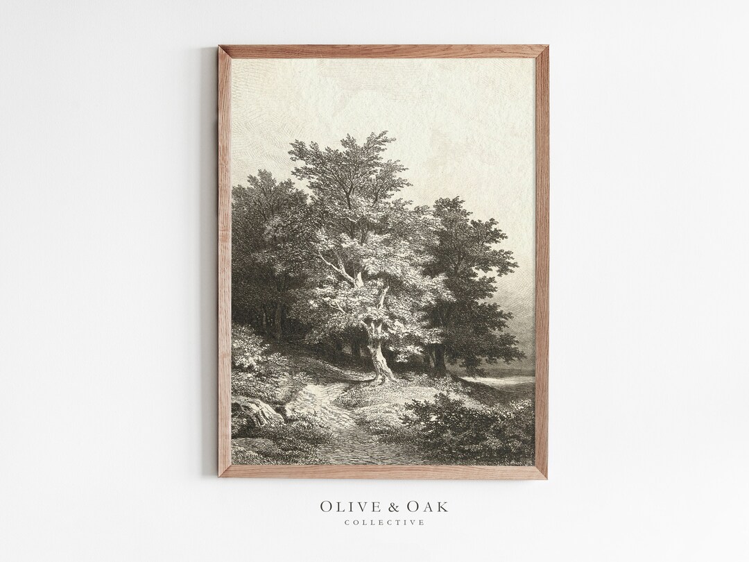 Vintage Forest Etching / Neutral Wall Art / Vintage Tree Sketch ...