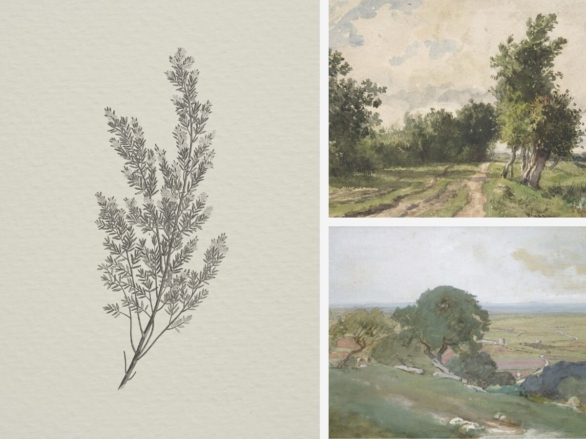 Set of 13 French Country Art Prints / Light Aesthetic Decor / Farmhouse ...