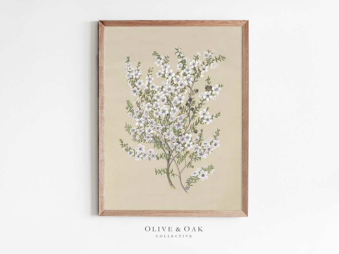Vintage Flower Drawing / Printable Wall Art / Digital Download Art ...