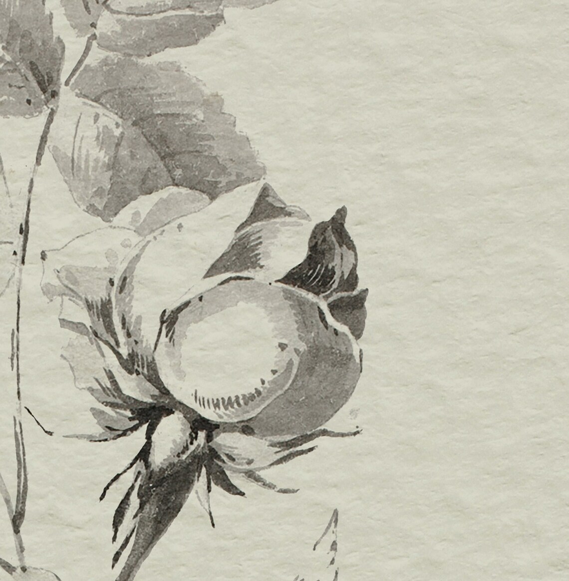 Vintage Flower Drawing Print / Rustic Botanical Sketch - Etsy