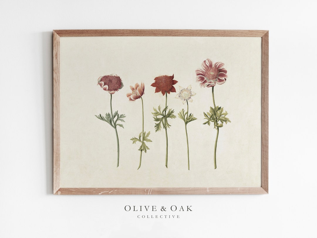 Antique Flower Drawing / Rustic Botanical Drawing / Country - Etsy