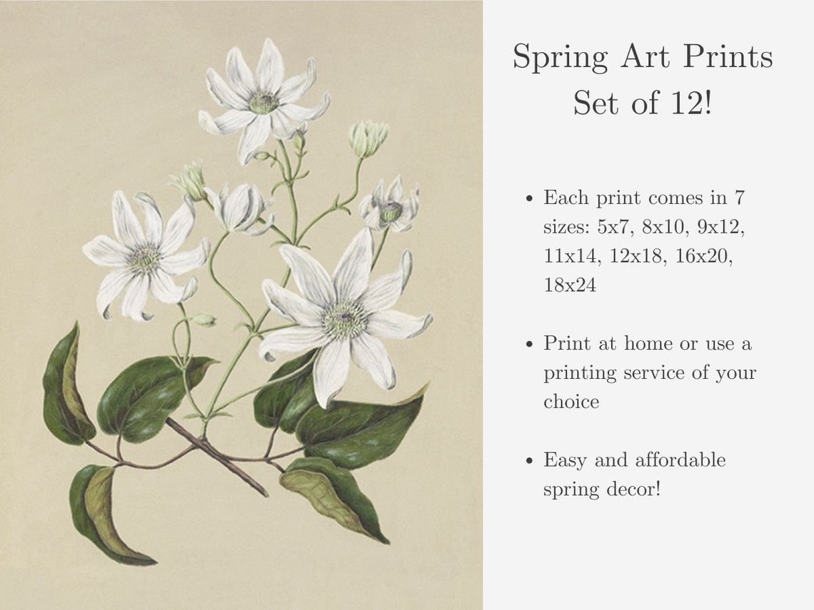 Set of 12 Spring Art Prints / Soft Pastel Artwork / Spring Wall Art ...