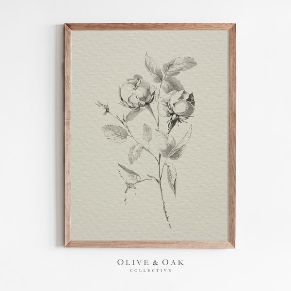 Vintage Flower Drawing Print - Etsy