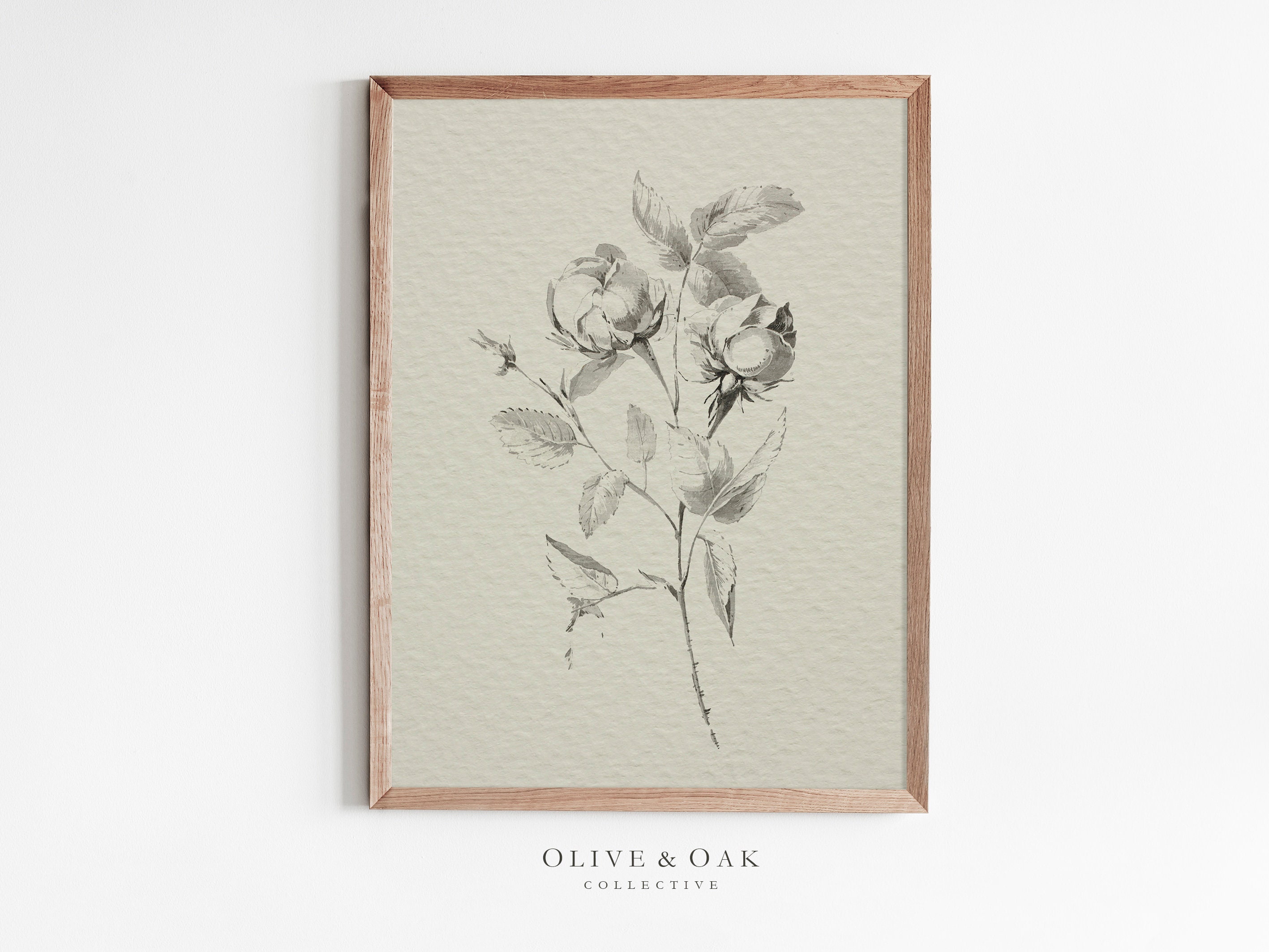 Olive Flower Drawing
