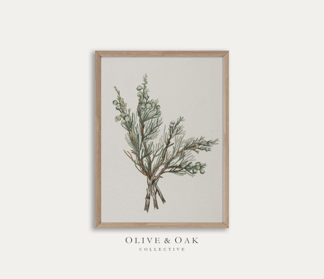 Vintage Sketch Art / Winter Branch Drawing / Nature Print - Etsy