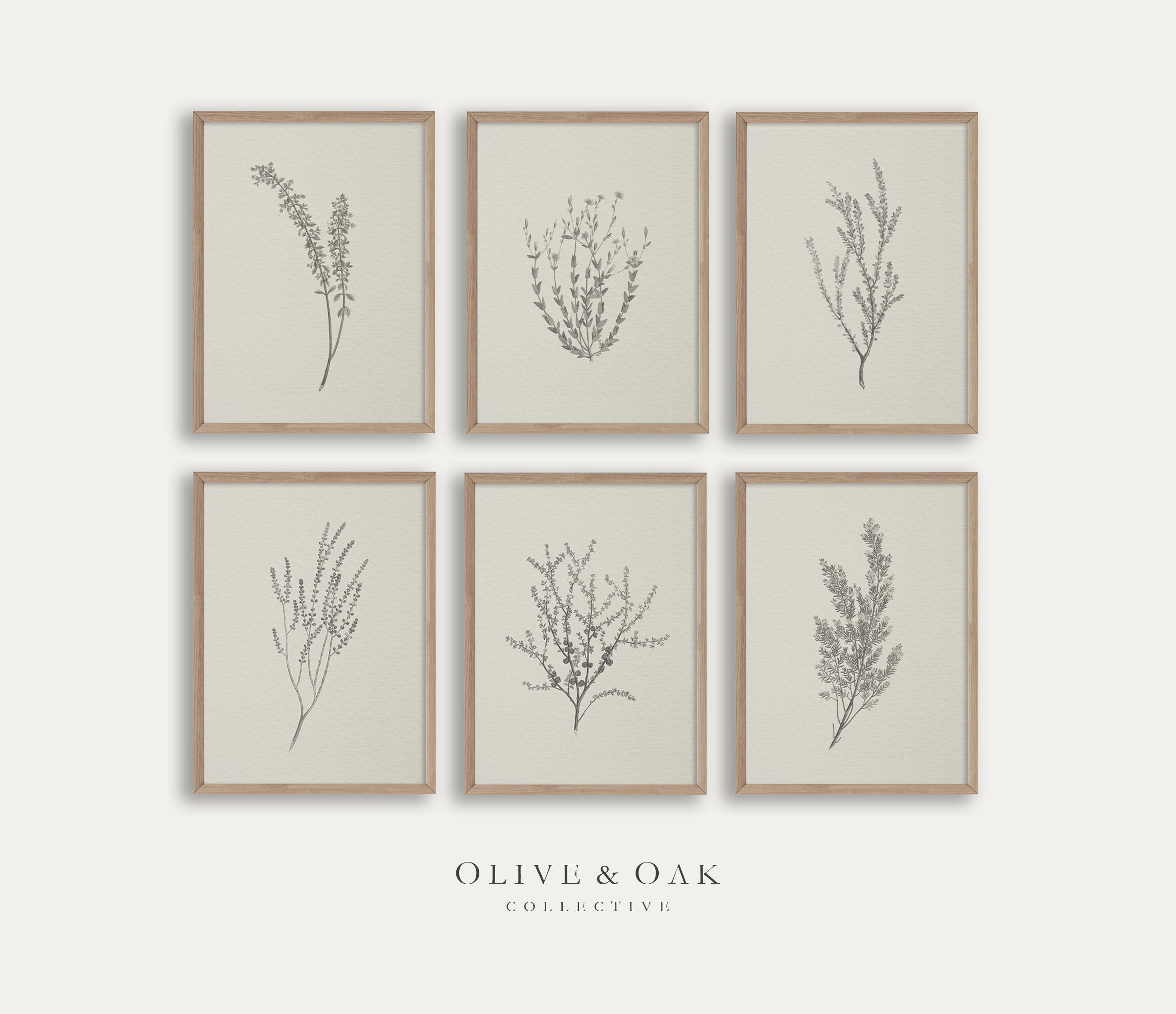 Neutral Botanical Print Set / Set of 6 Vintage Prints / | Etsy