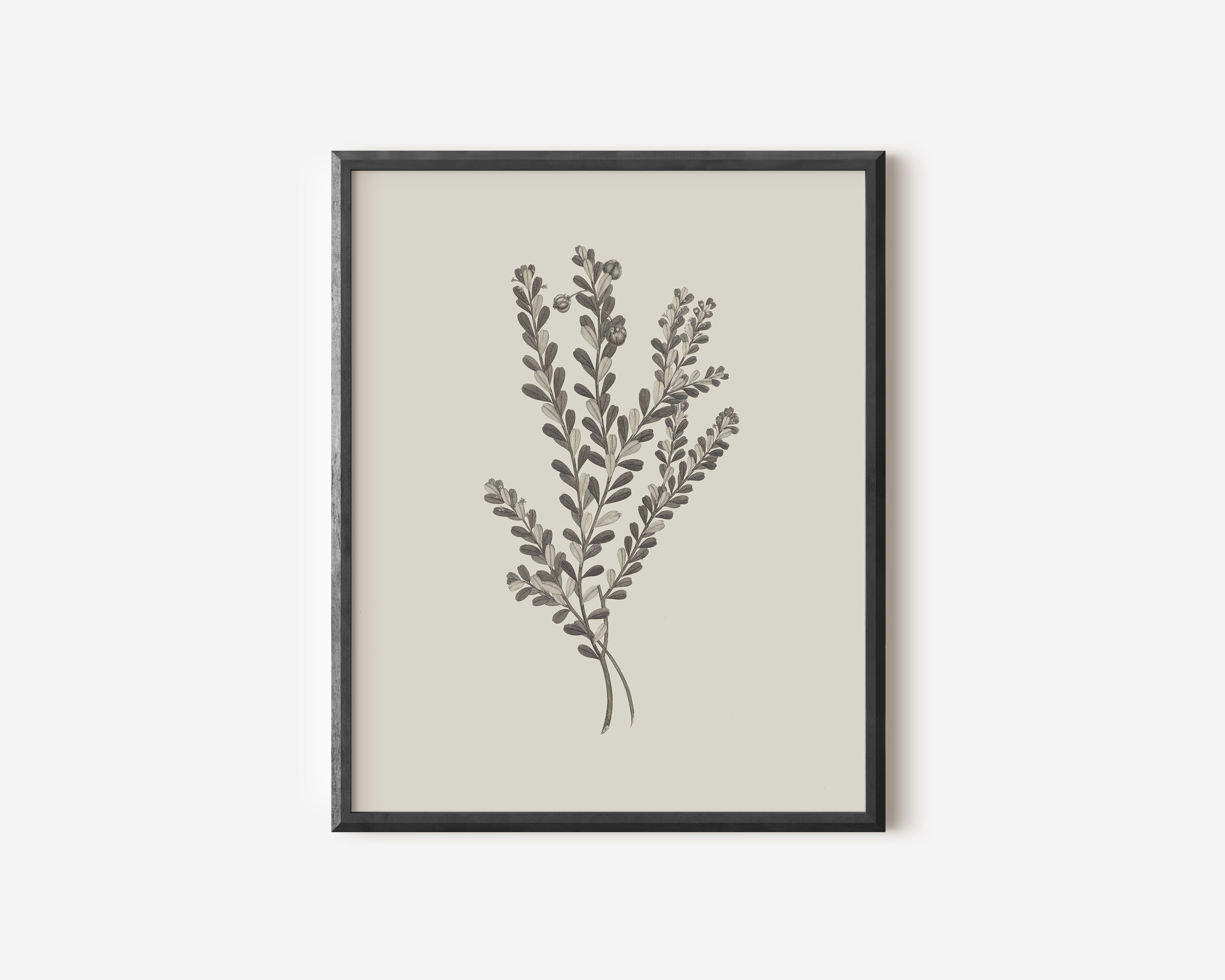 Neutral Wall Art / Botanical Branch Drawing / Simple Artwork PRINTABLE ...