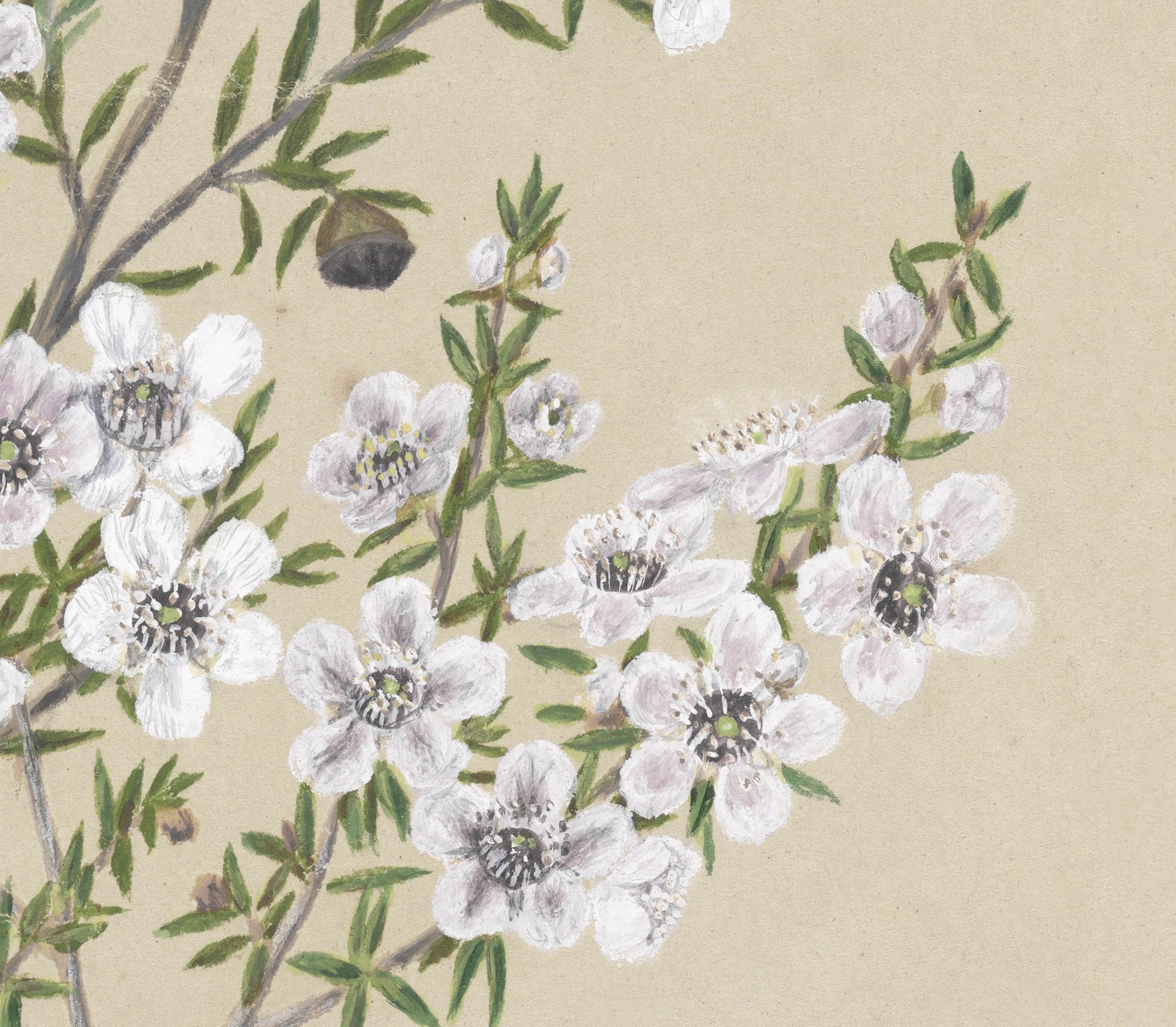 Vintage Flower Drawing / Printable Wall Art / Digital Download Art ...