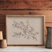 Neutral Branch Sketch / Vintage Botanical Print / Horizontal Branch ...