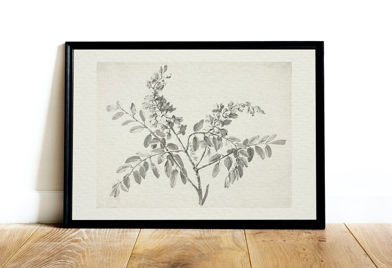 Vintage Branch Sketch / Digital PRINTABLE WALL ART / Antique Botanical ...