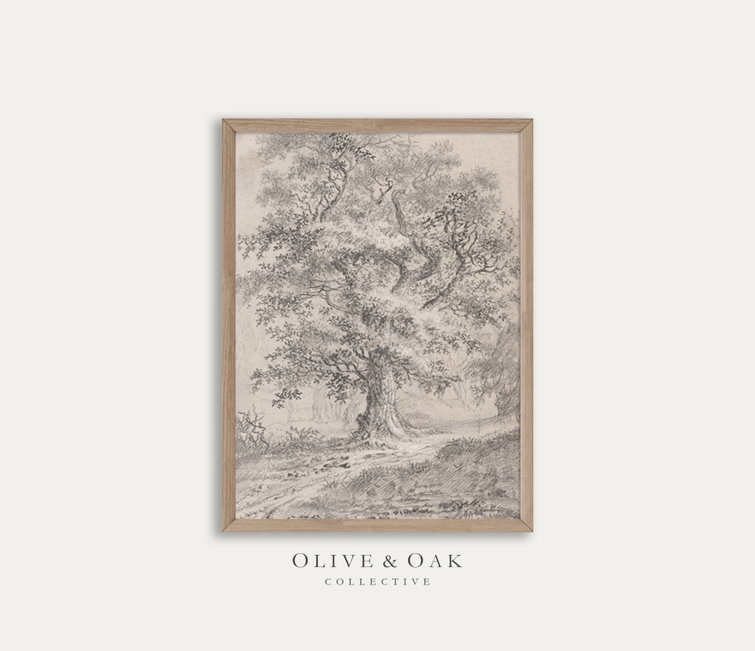 Vintage Tree Sketch / Rustic Tree Drawing / Neutral Wall Art - Etsy